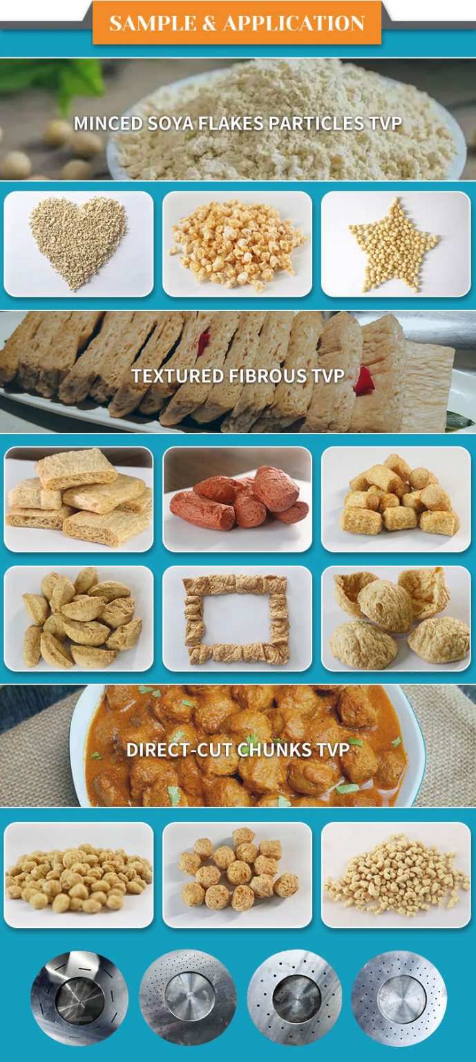 Plant Protein Based Dry Tvp Production System